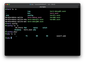 Laravel Herd, Xdebug, and Visual Studio Code | Tom McFarlin